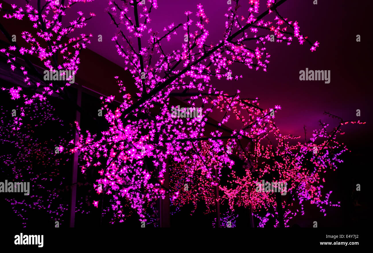 Pink lights hi-res stock photography and images - Alamy