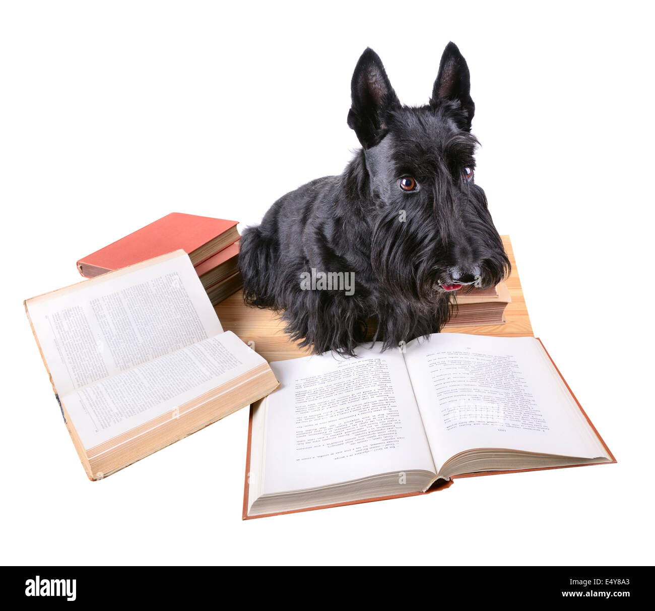 Cute books Cut Out Stock Images & Pictures - Alamy