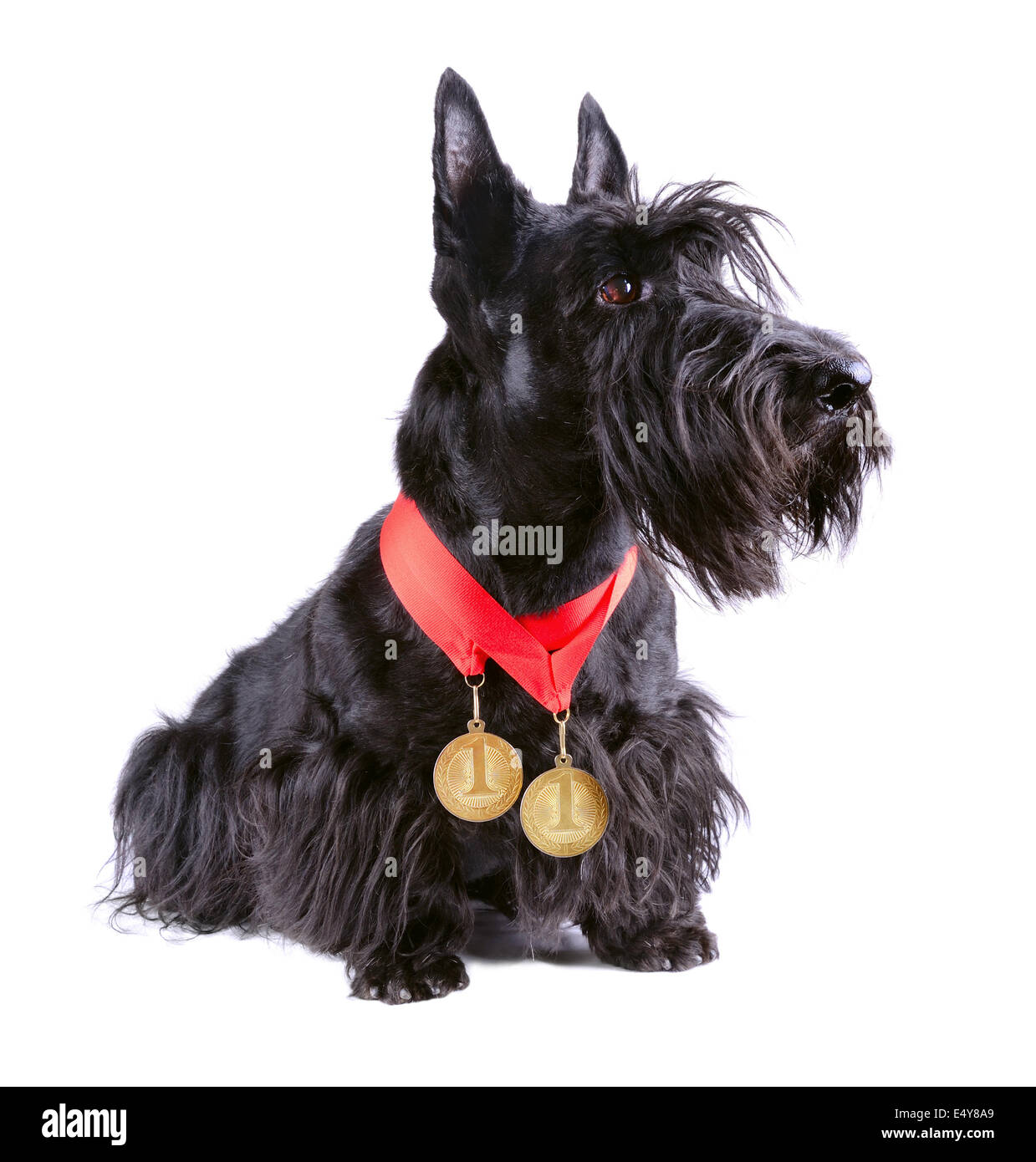 Prize winner number hi-res stock photography and images - Alamy