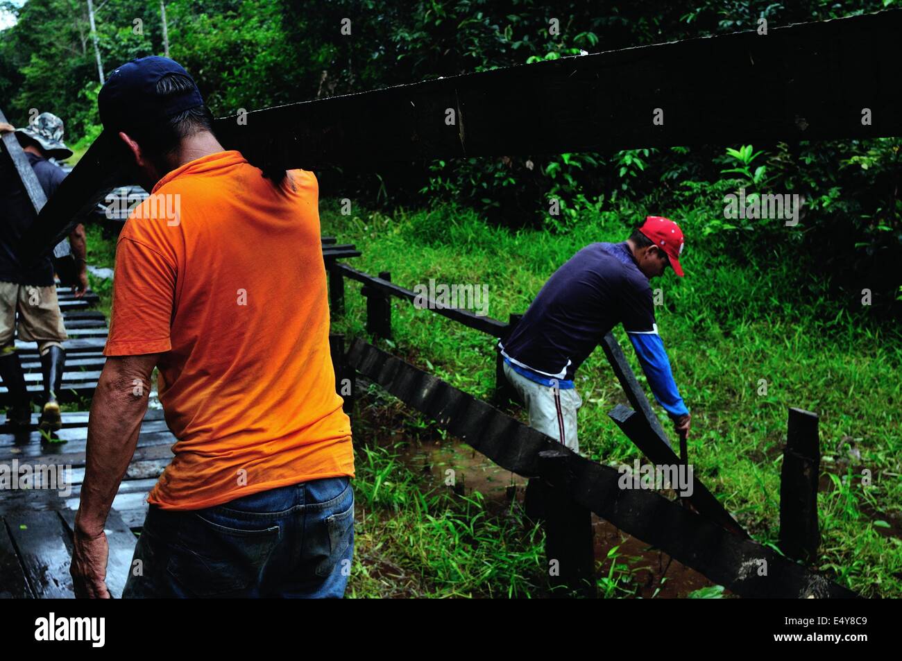 Rebuilding bridge in PANGUANA . Department of Loreto .PERU Stock Photo ...