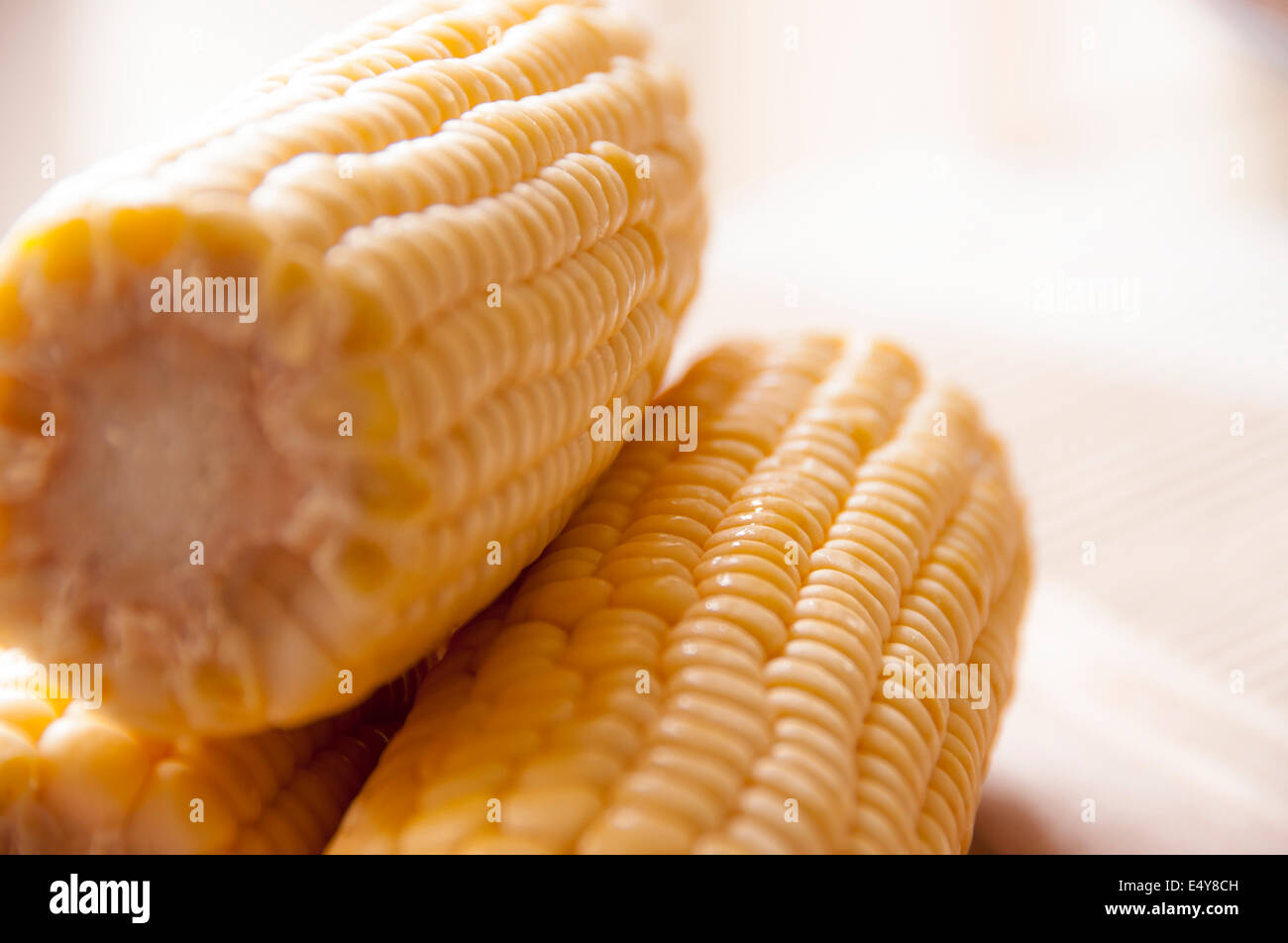 Fresh corn on the cob Stock Photo - Alamy
