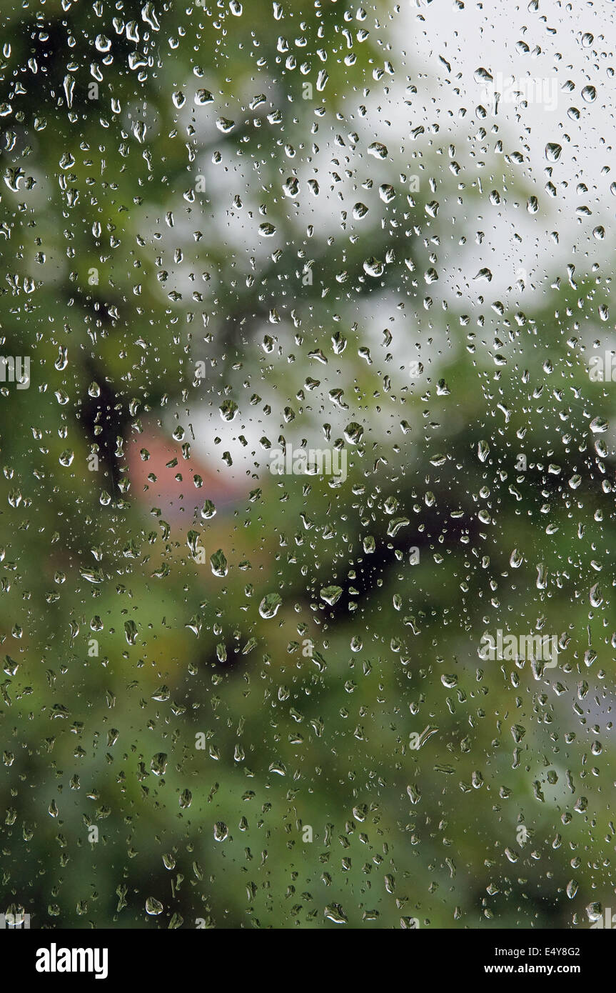 raindrops on the window Stock Photo - Alamy