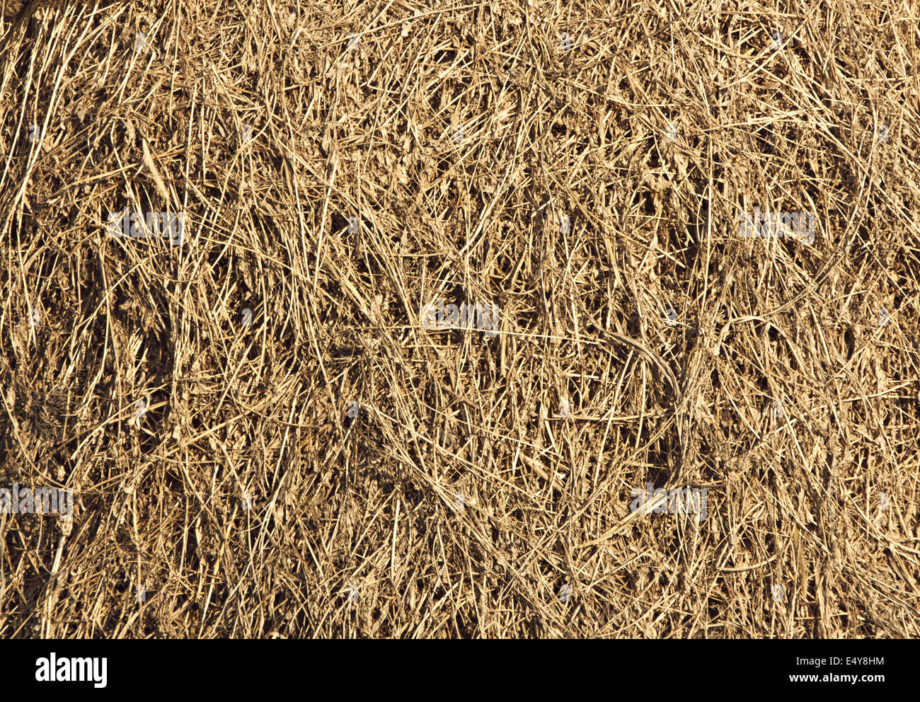 Hay bale background hi-res stock photography and images - Alamy