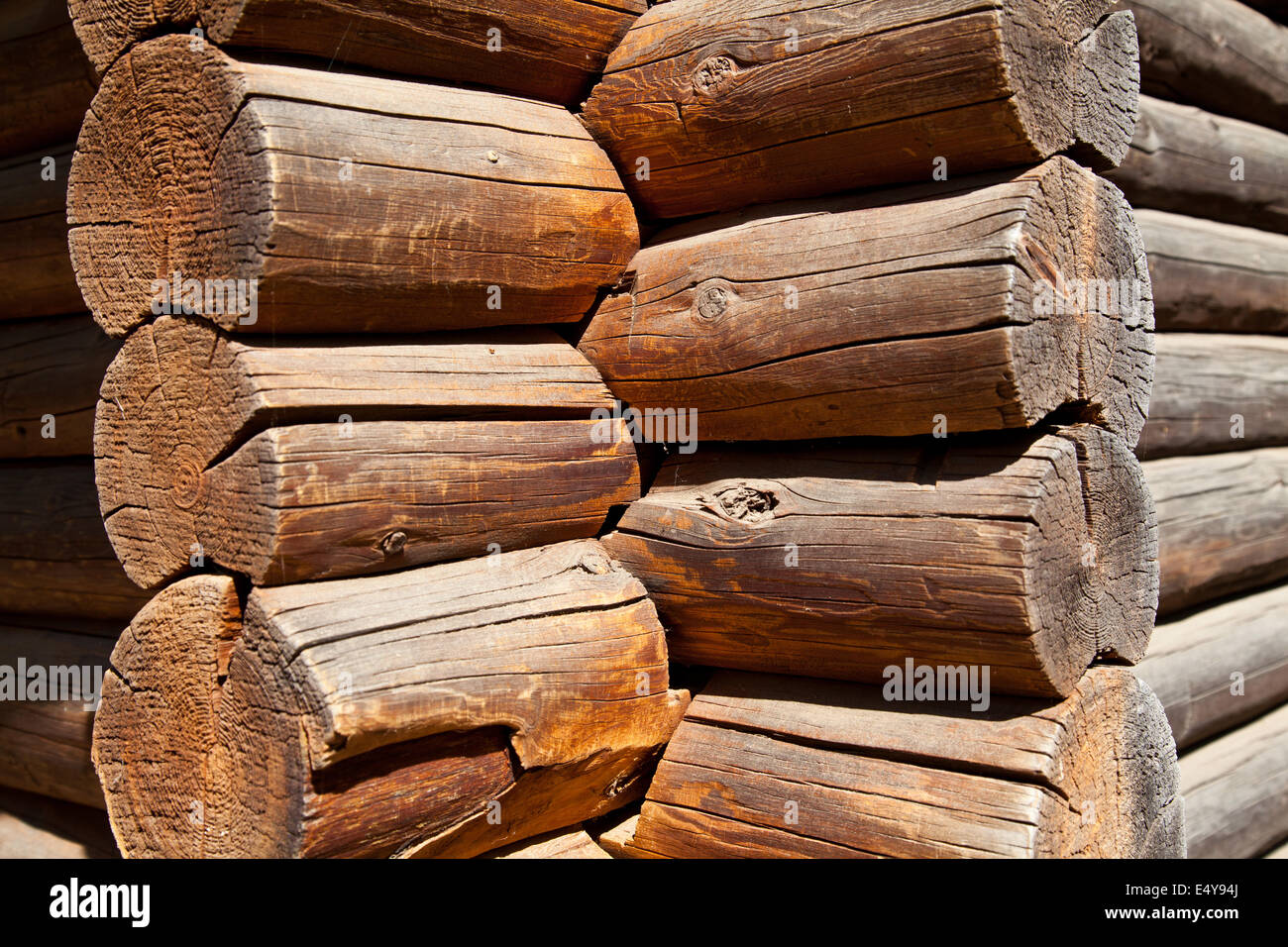 Circle woods hi-res stock photography and images - Alamy