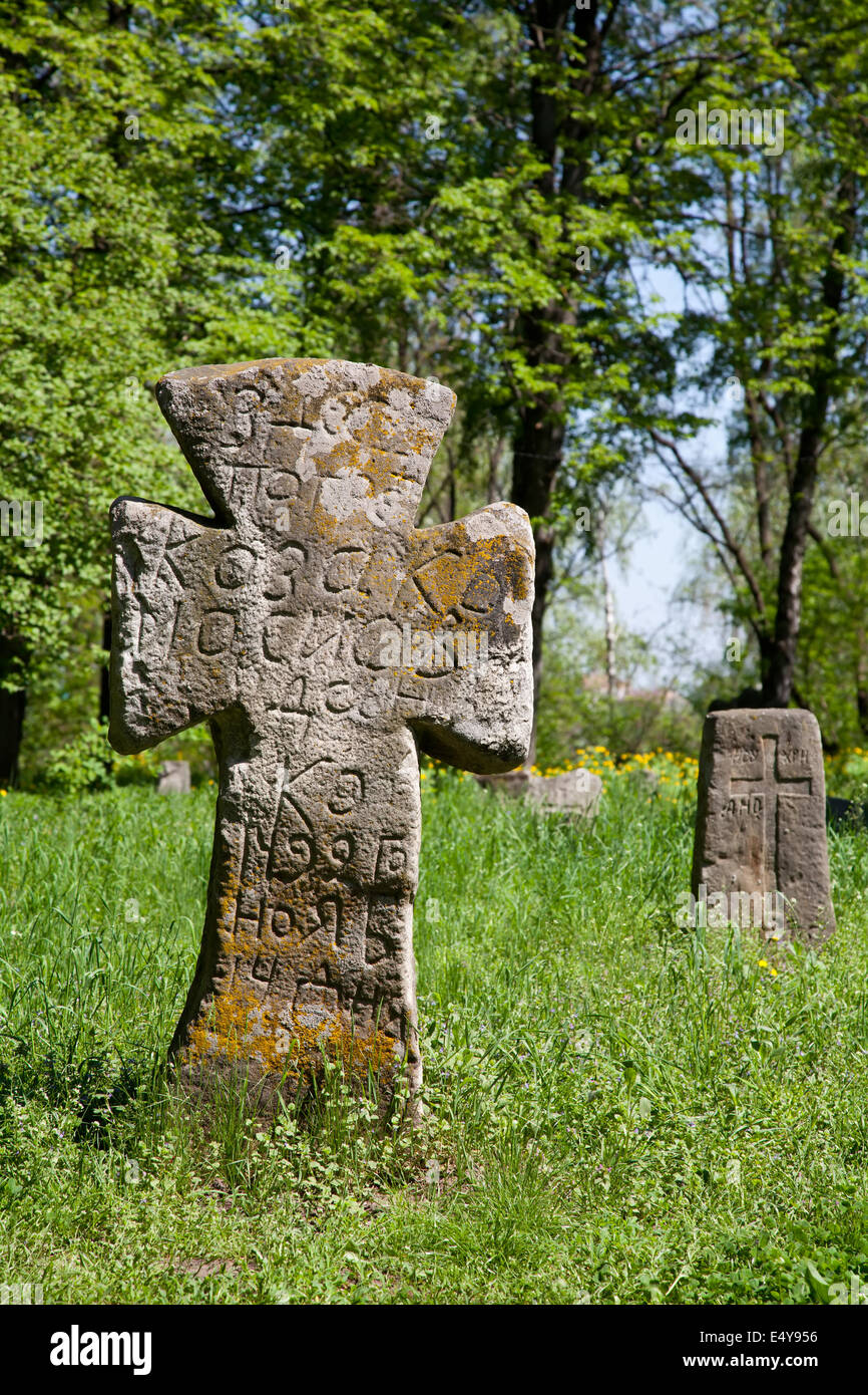 Prehistorical hi-res stock photography and images - Alamy