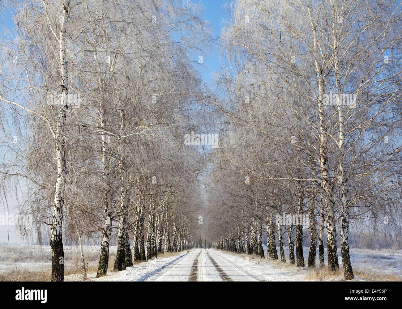 Russian winter landscape Stock Photo - Alamy