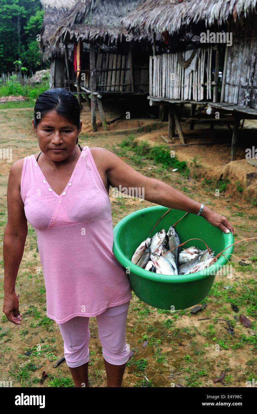 Selling Bagre fish in Industria- PANGUANA . Department of Loreto .PERU ...
