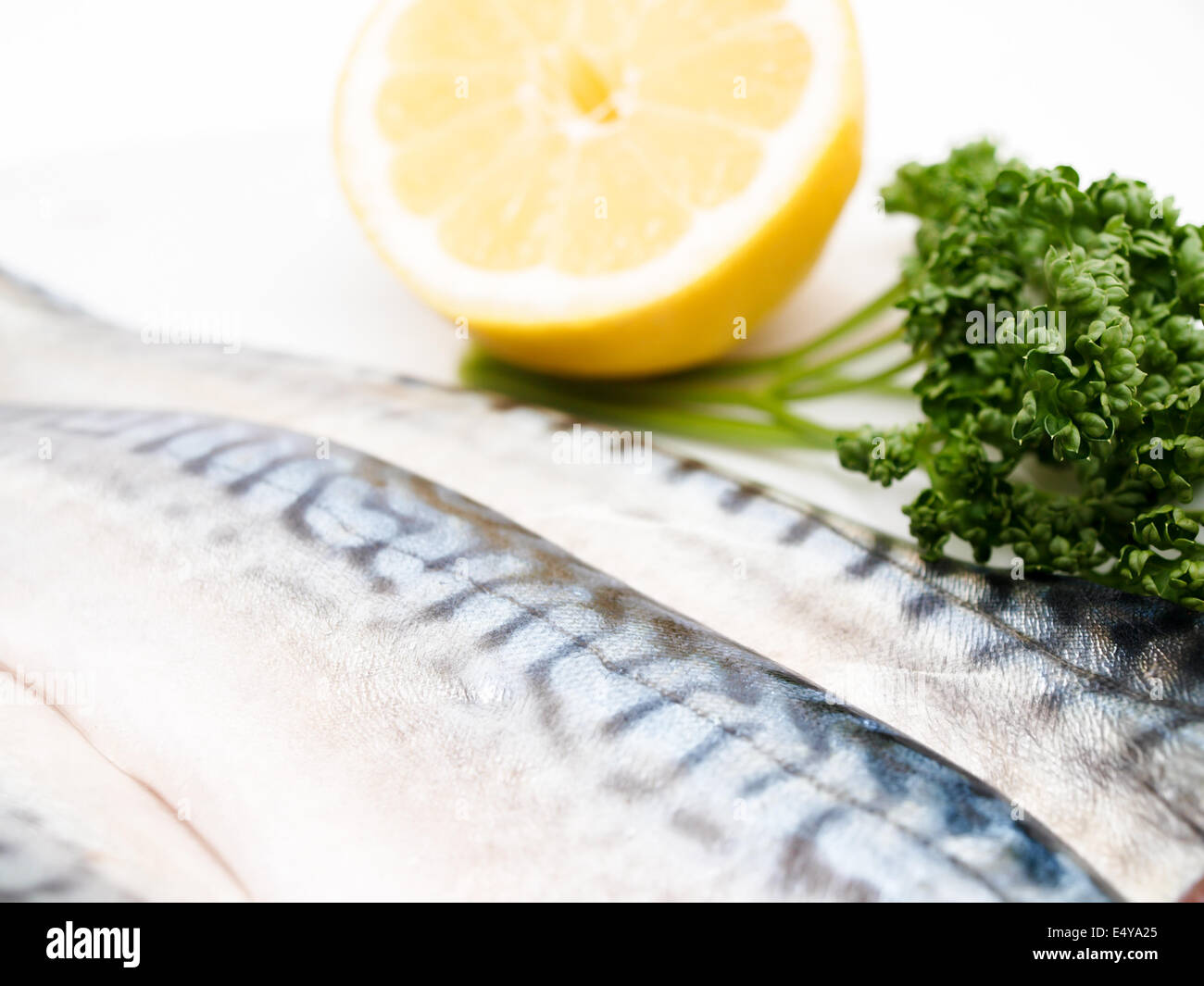Raw mackerel filet Stock Photo - Alamy