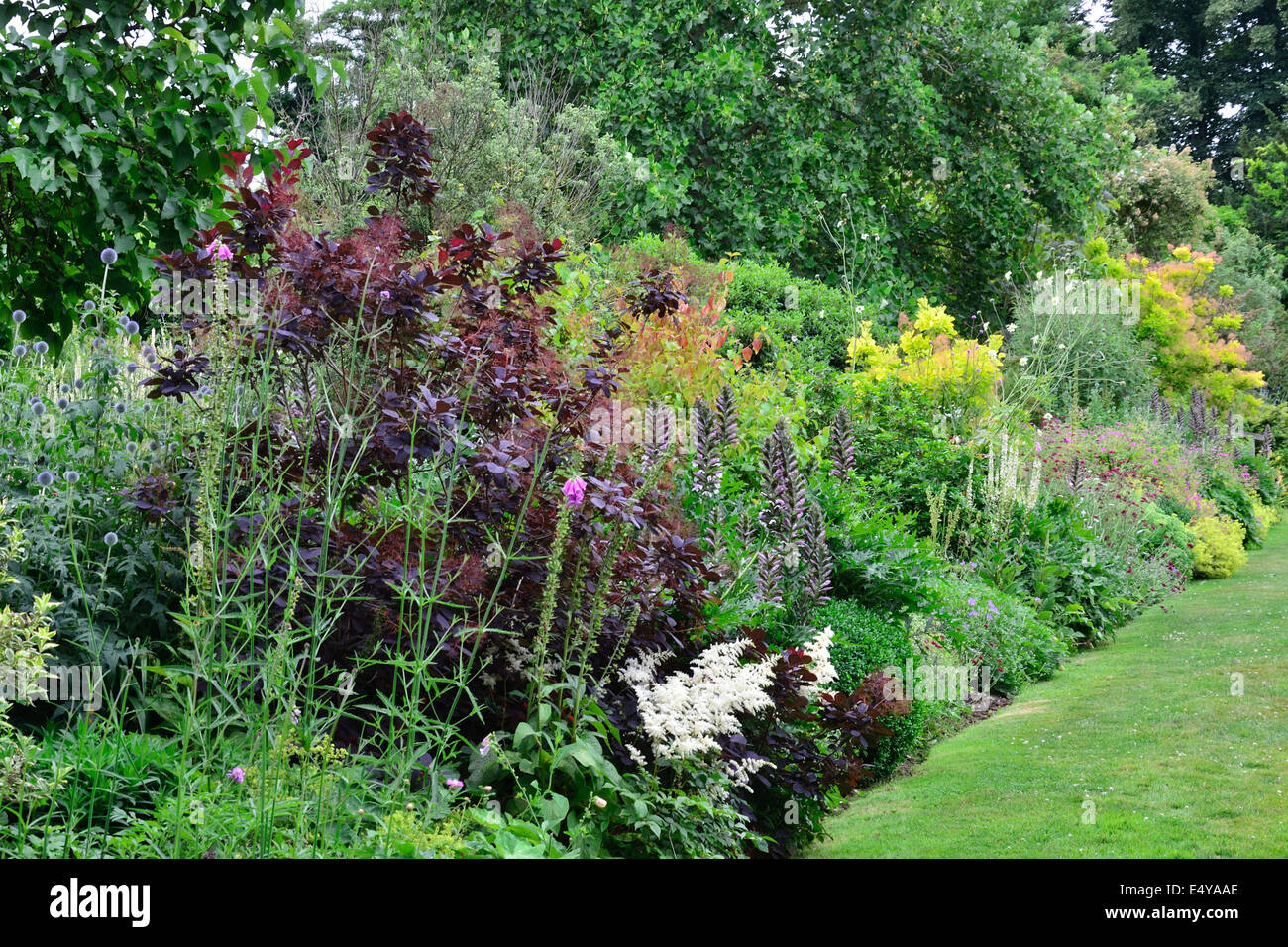 English garden border hi-res stock photography and images - Alamy