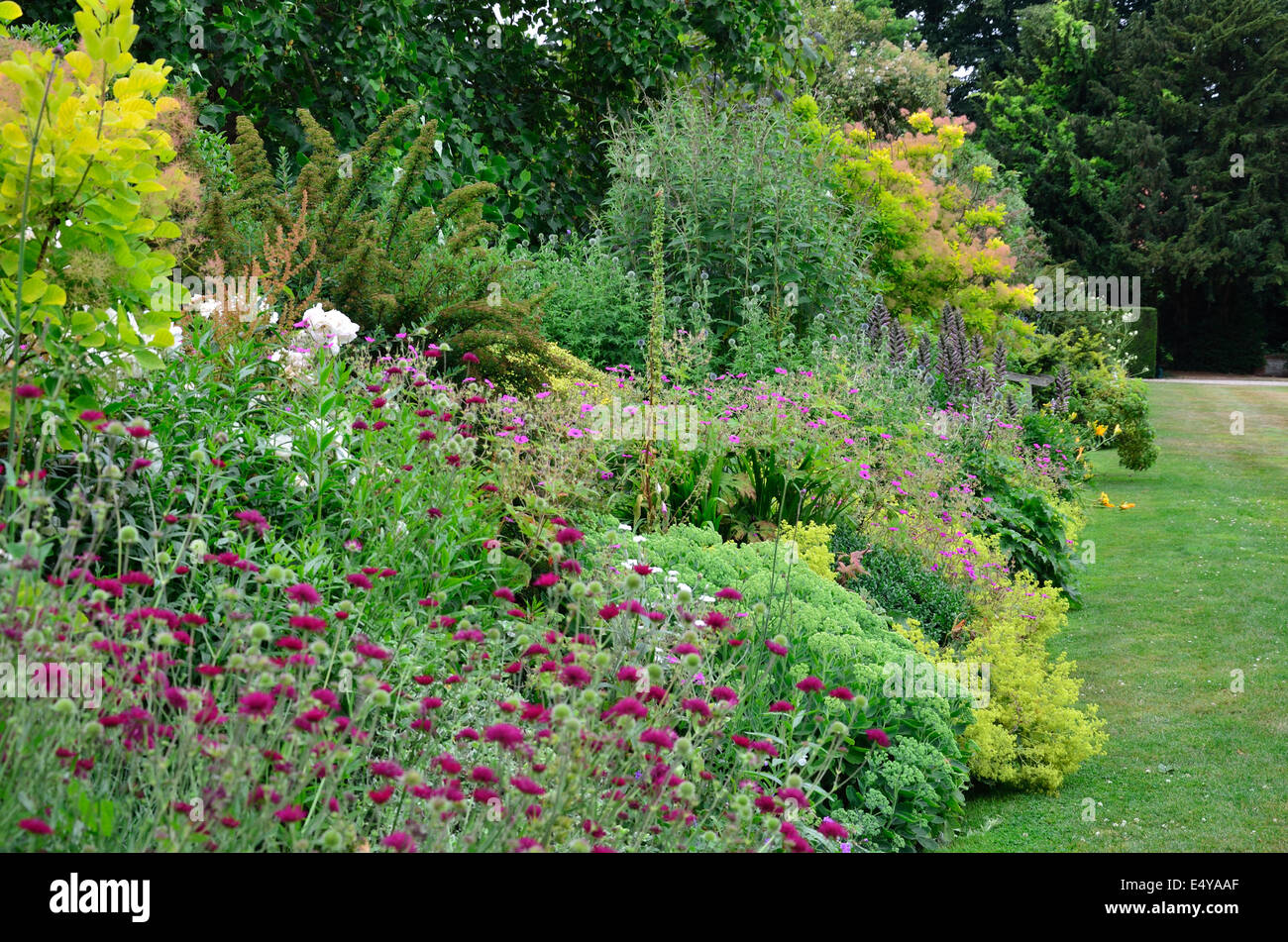 Border of greenery hi-res stock photography and images - Alamy