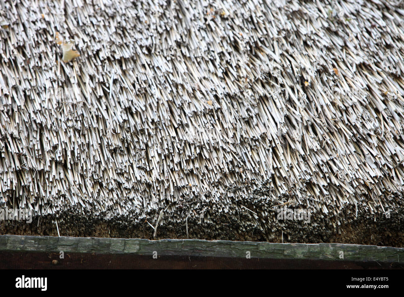 Fibre roof hi-res stock photography and images - Alamy