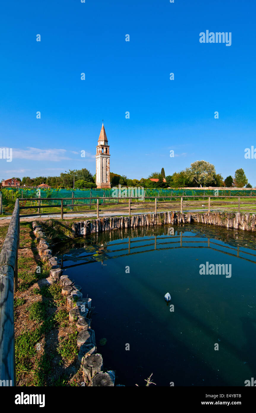 Venice Burano Mazorbo vineyard Stock Photo - Alamy