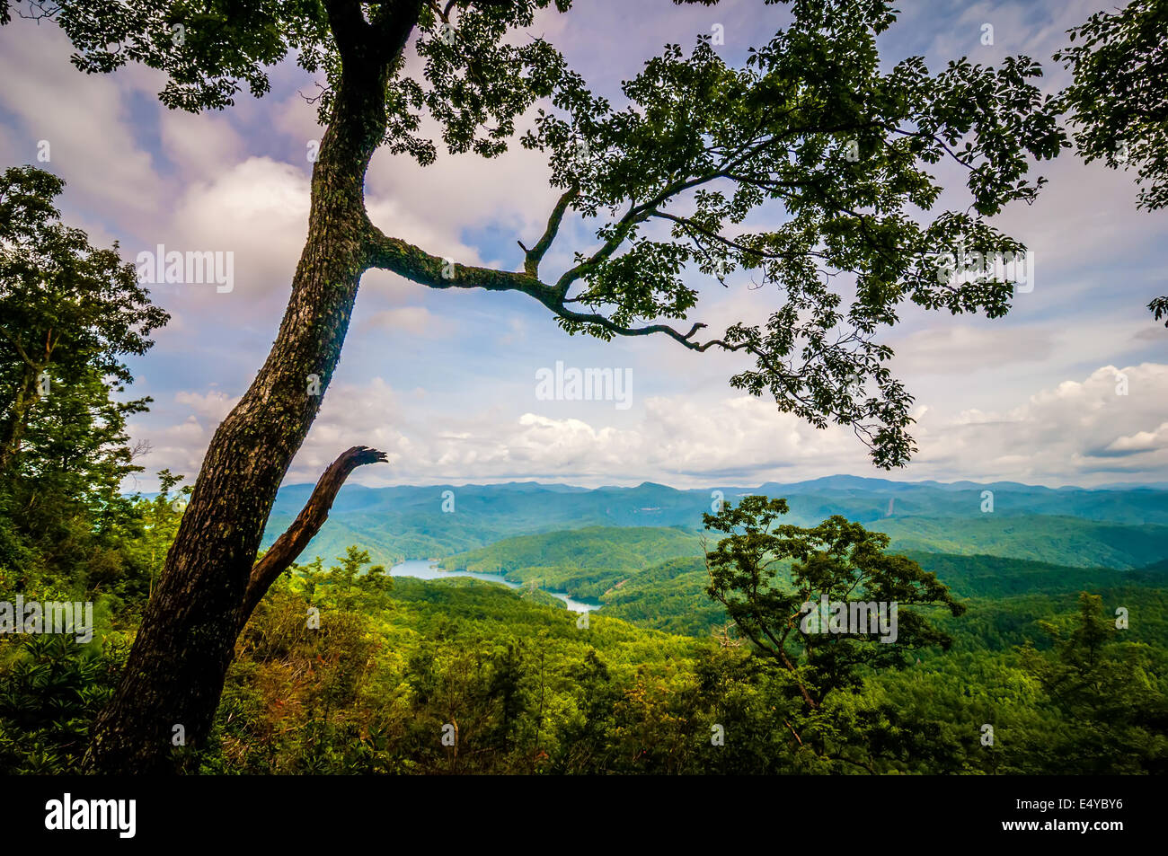 Overlooking forest mountains hi-res stock photography and images - Alamy