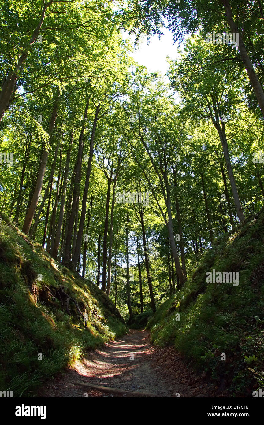 Boden germany hi-res stock photography and images - Alamy