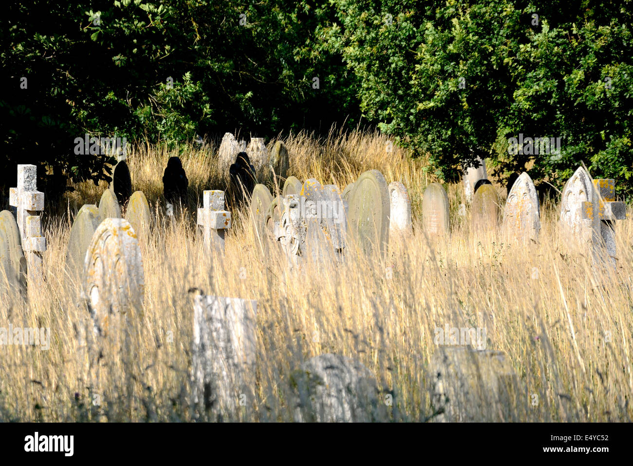 Tomb in grass hi-res stock photography and images - Alamy