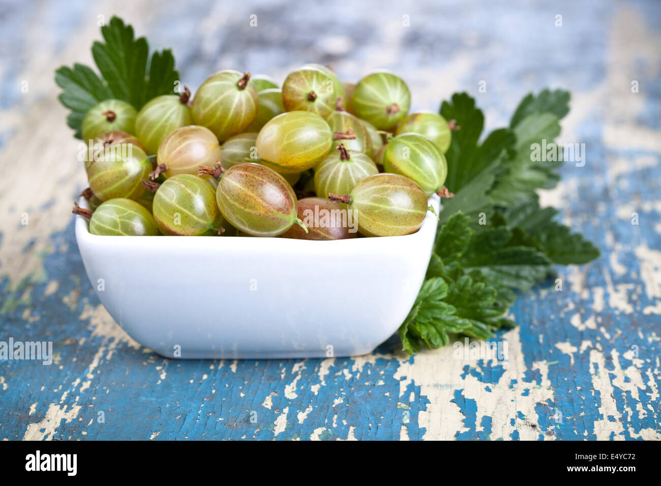 Gooseberries hi-res stock photography and images - Alamy