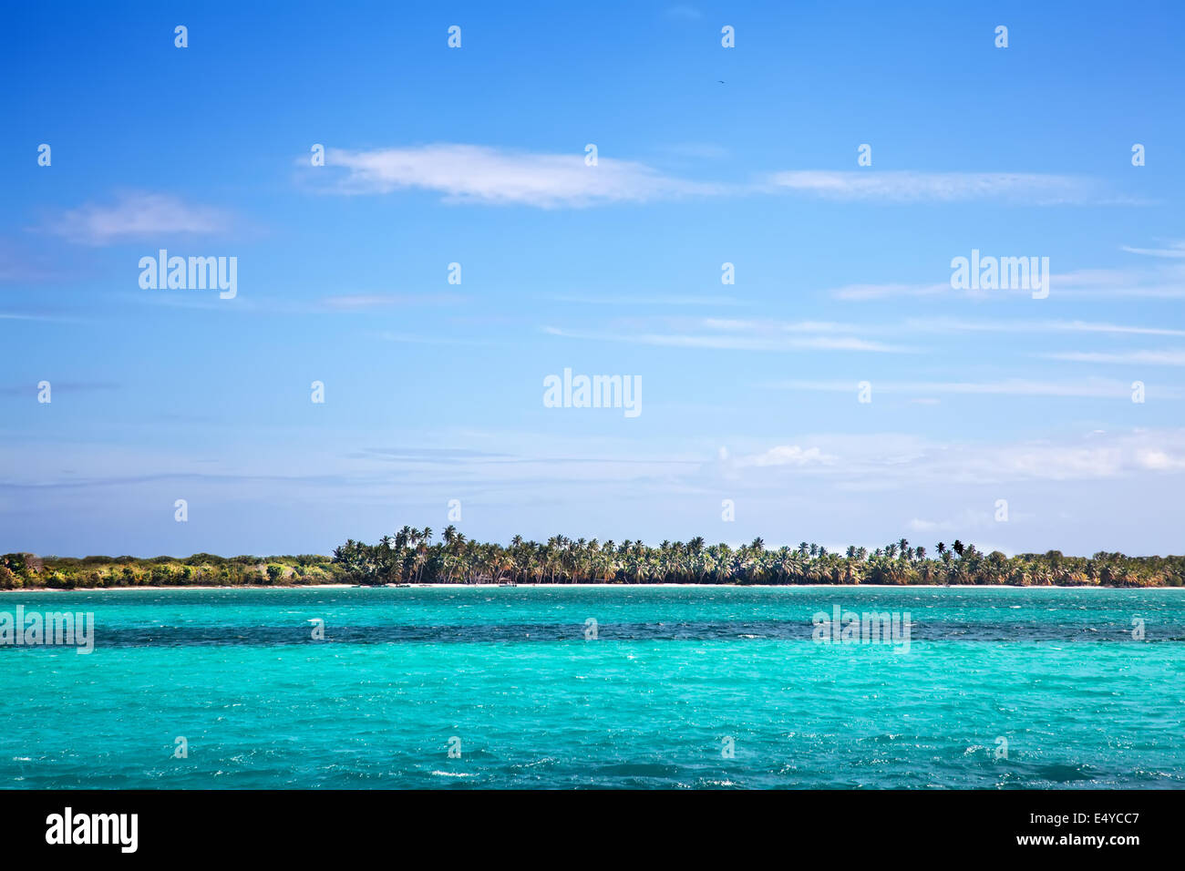 Palms and ocean hi-res stock photography and images - Alamy
