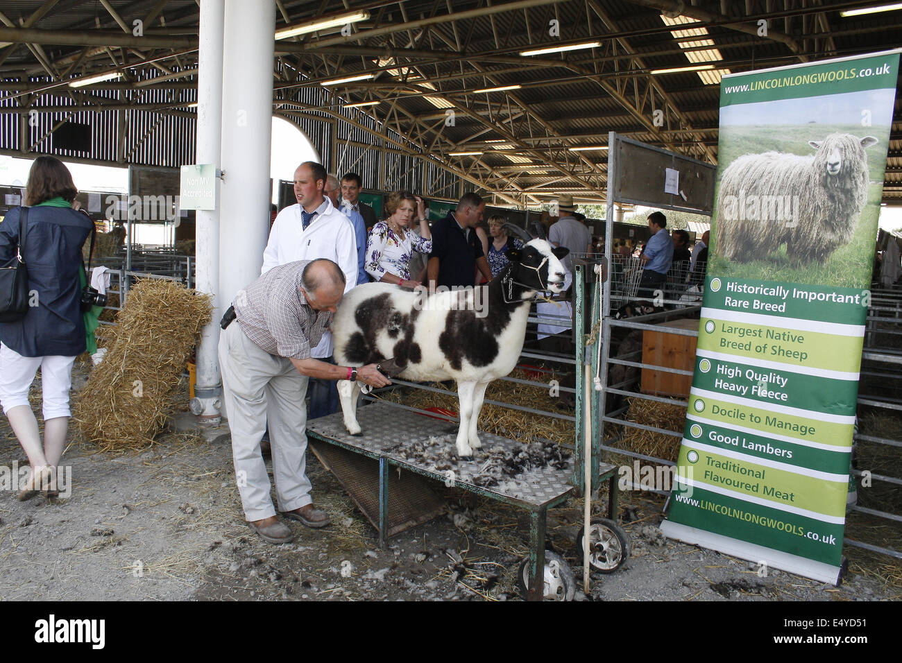 Shearing Sheep At The Great Yorkshire Show High Resolution Stock ...