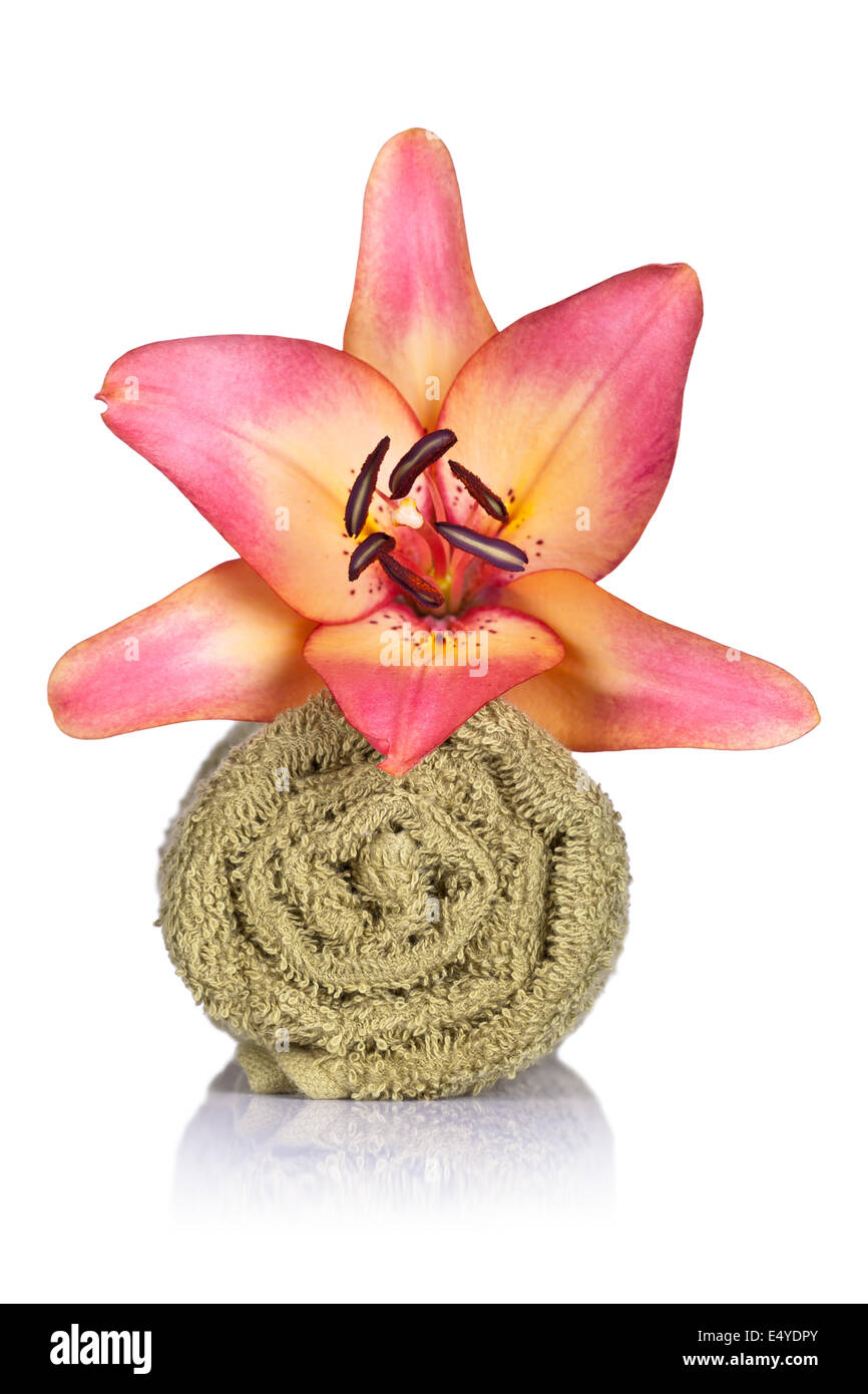 Spa beauty wellness concept Cut Out Stock Images & Pictures - Alamy