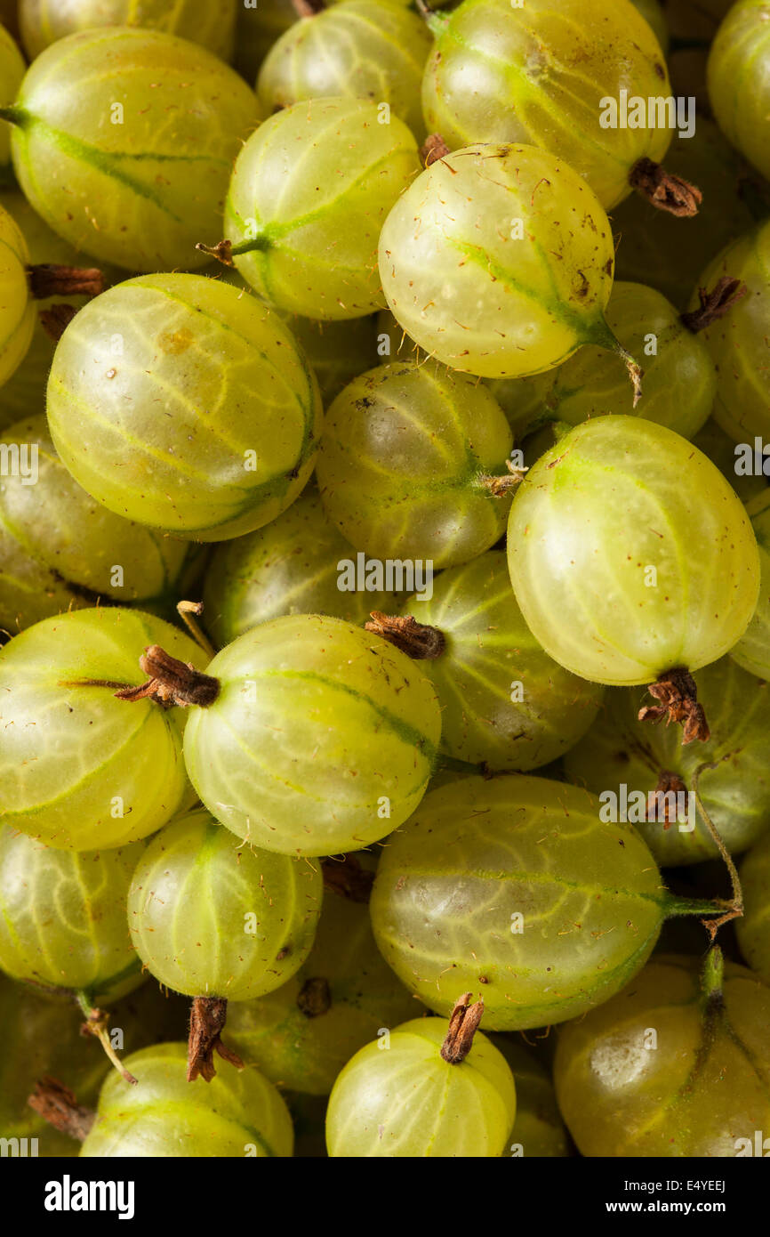 Gooseberries hi-res stock photography and images - Alamy