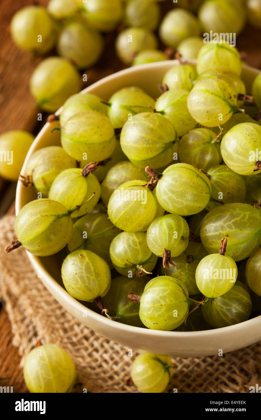 Organic Raw Green Gooseberries on a Background Stock Photo - Alamy