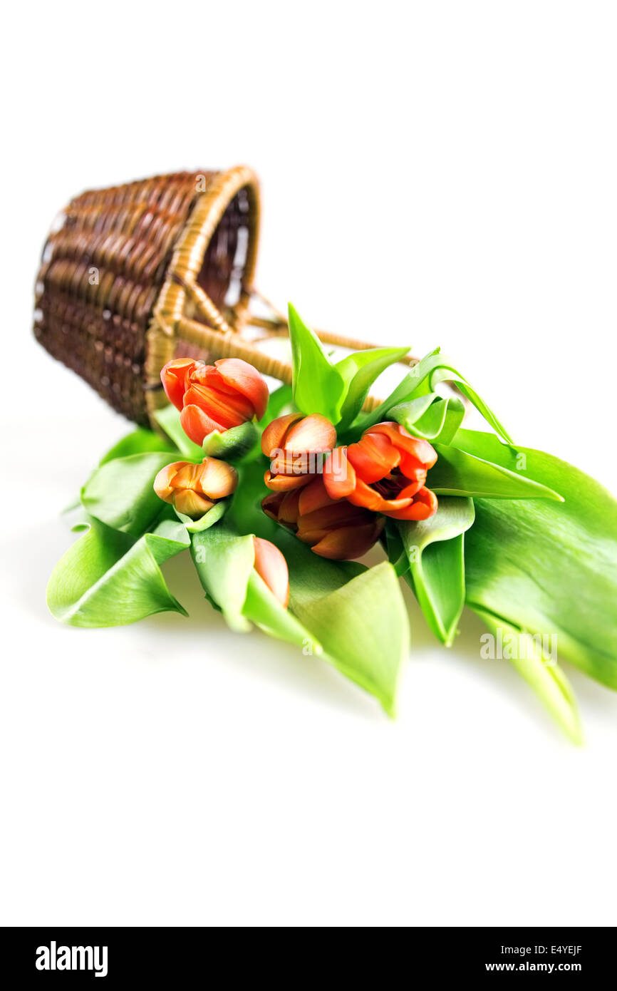 Dropped leaf hi-res stock photography and images - Alamy