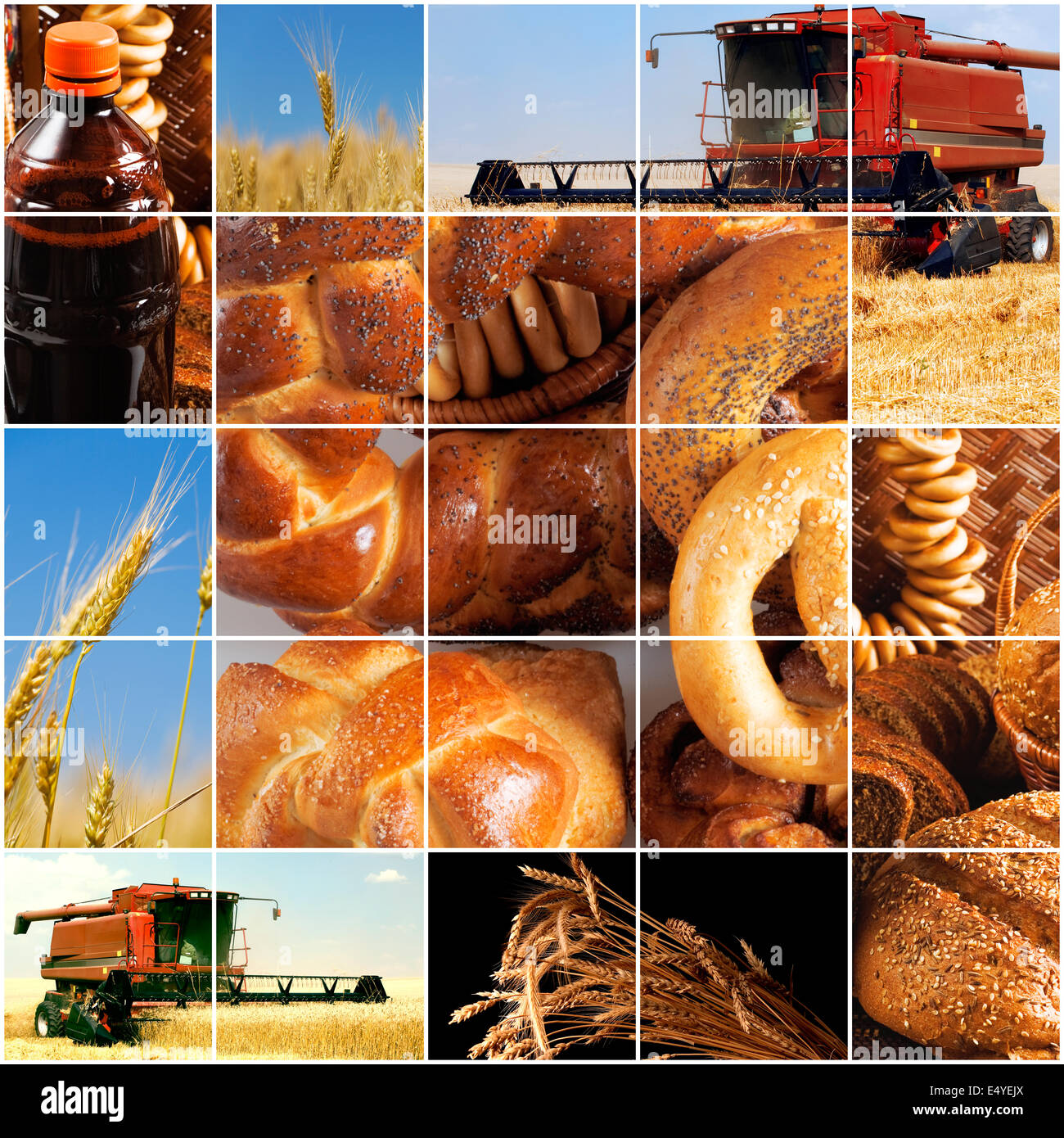 Grain crops hi-res stock photography and images - Alamy