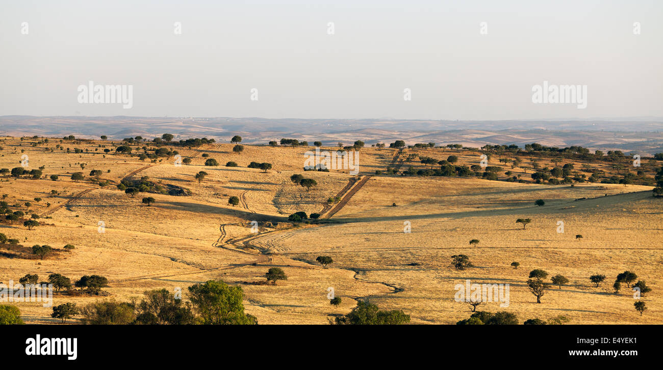 Rural landscape with grassland and trees Stock Photo - Alamy