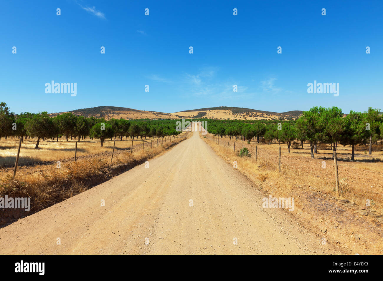 Straight road receding into distance hi-res stock photography and ...