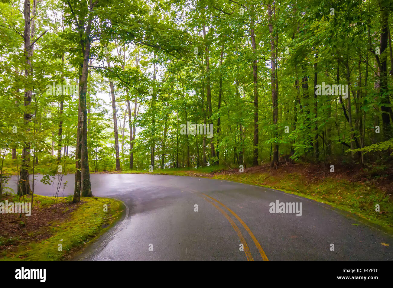 sharp road curve Stock Photo - Alamy