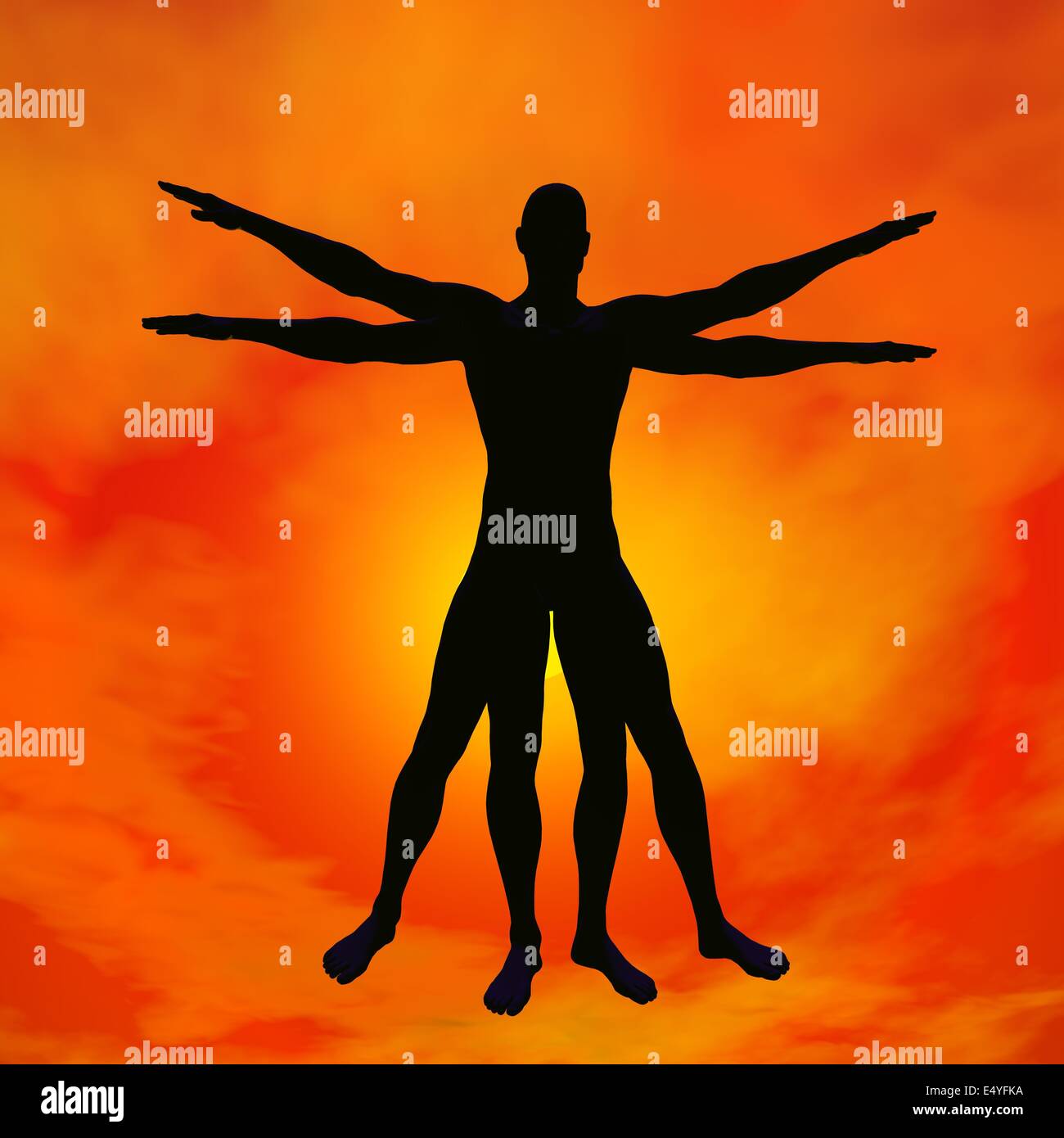 Vitruvian human - 3D render Stock Photo - Alamy