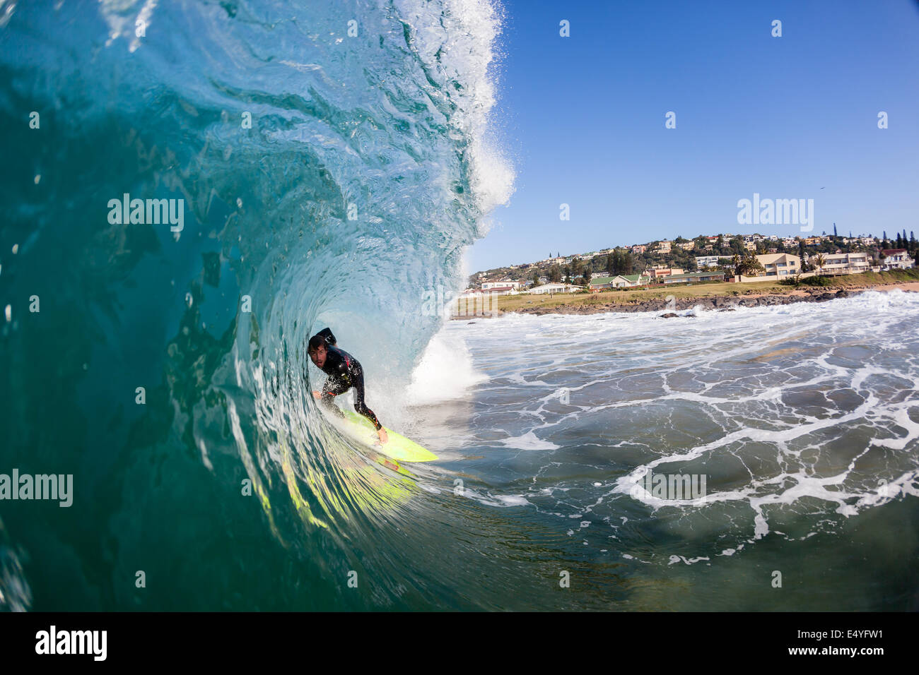 Surfing wave dolphin hi-res stock photography and images - Alamy