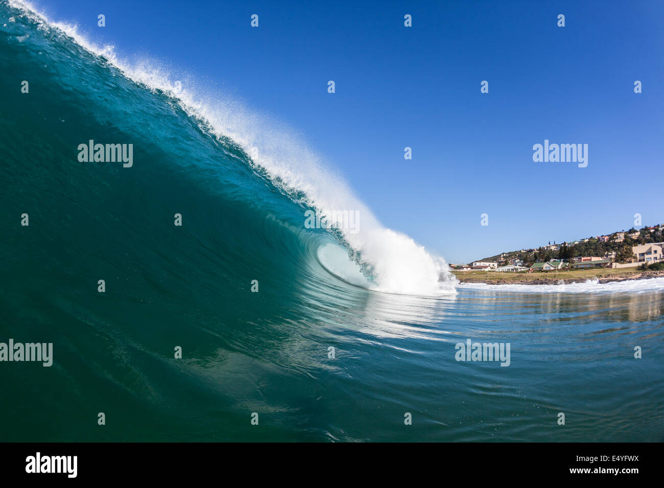 Ocean wave swimming surfer swimming water photo action closeup ...