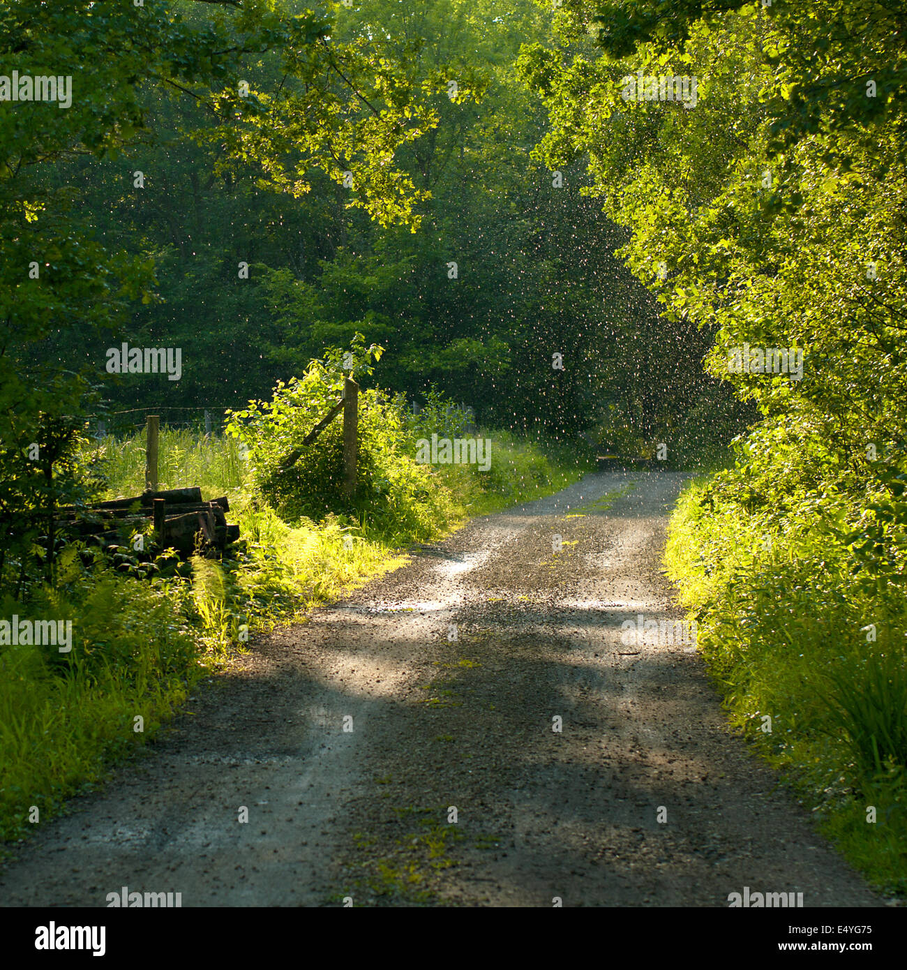 Rain road hi-res stock photography and images - Alamy