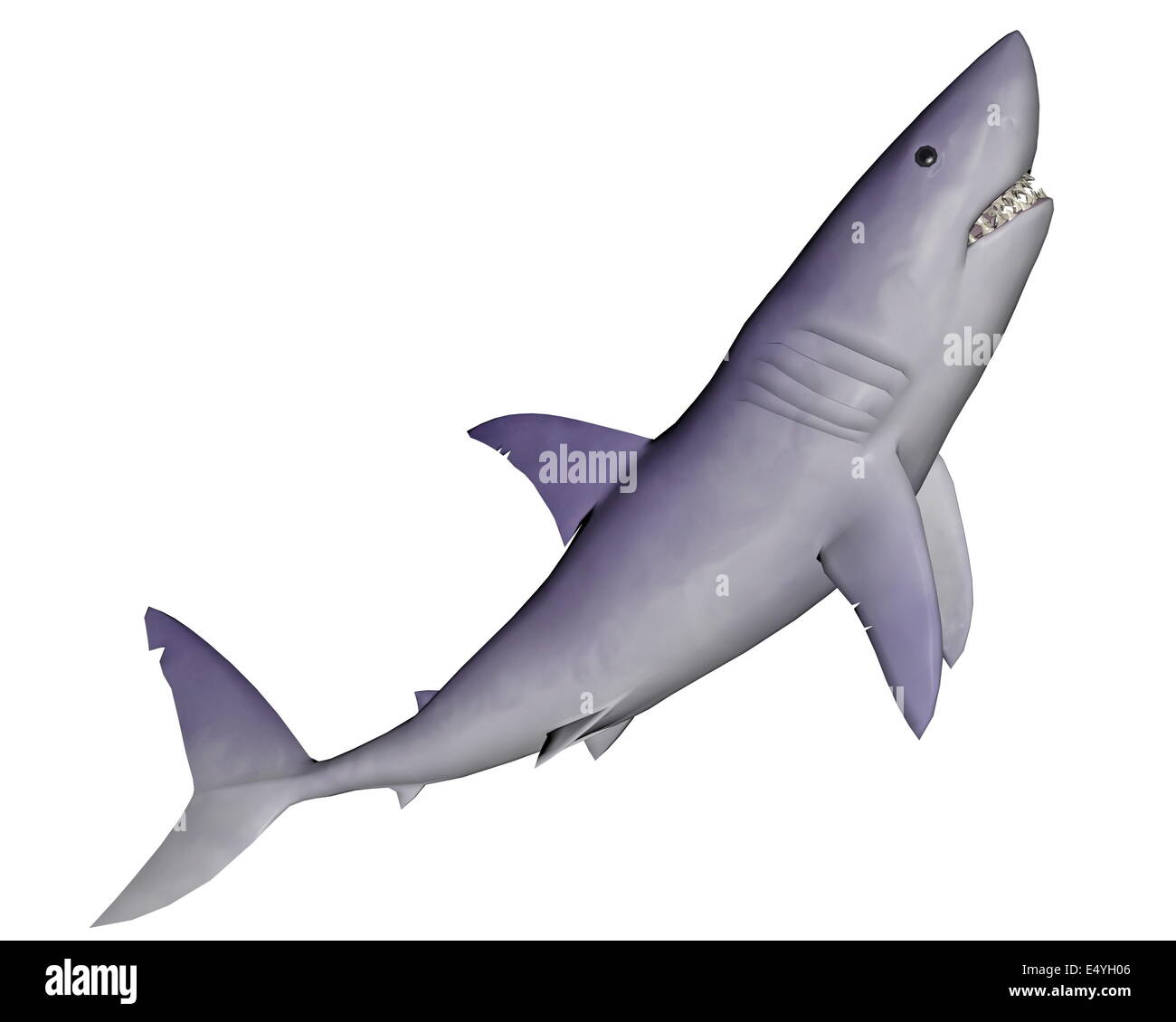 Ocean shark face Cut Out Stock Images & Pictures - Alamy