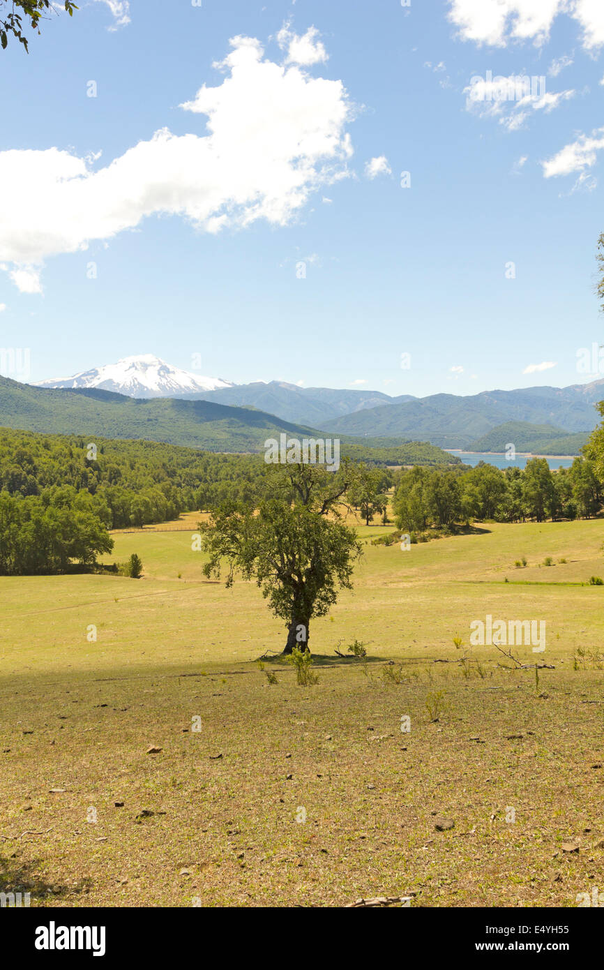 Nalcas National Park, Chile. The Bio Bio river, and in the background ...