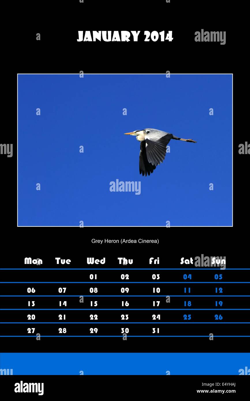 Bird calendar for 2014 - january Stock Photo - Alamy