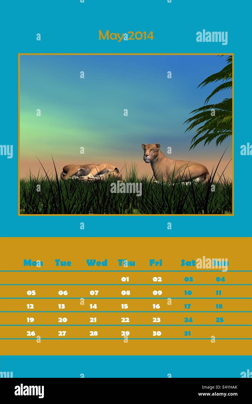 Safari calendar for 2014 - may Stock Photo - Alamy
