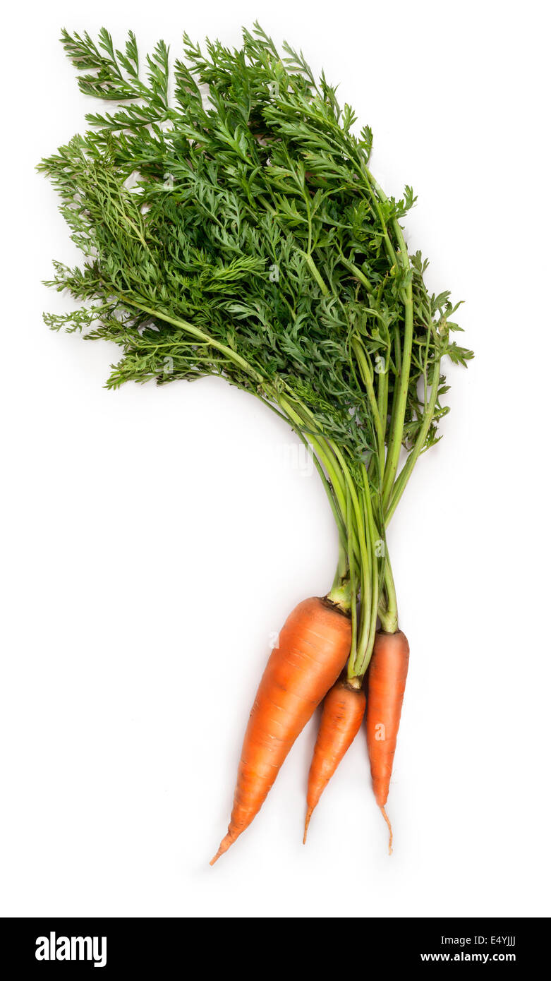 Carrot studio hi-res stock photography and images - Alamy