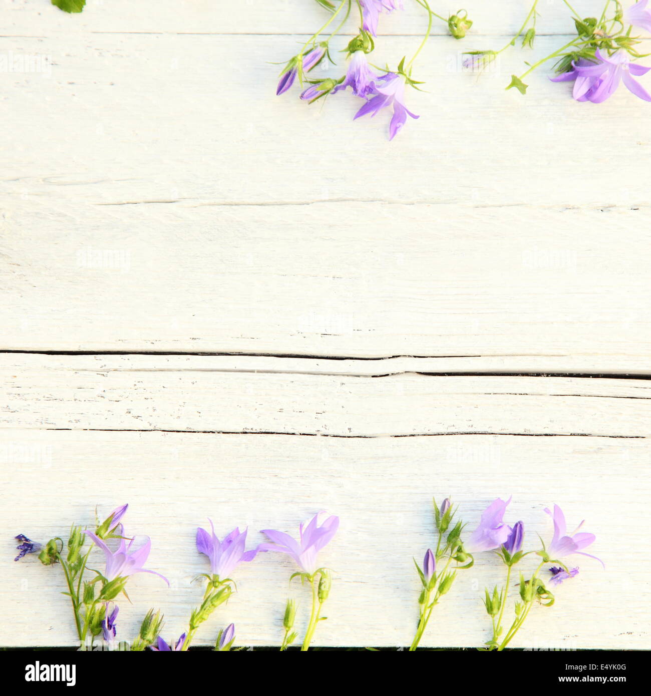 Delicate border hi-res stock photography and images - Alamy