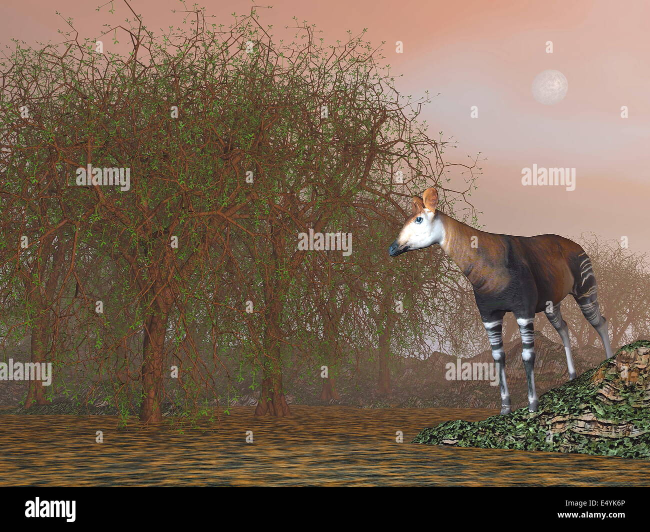 Illustration okapi hi-res stock photography and images - Alamy