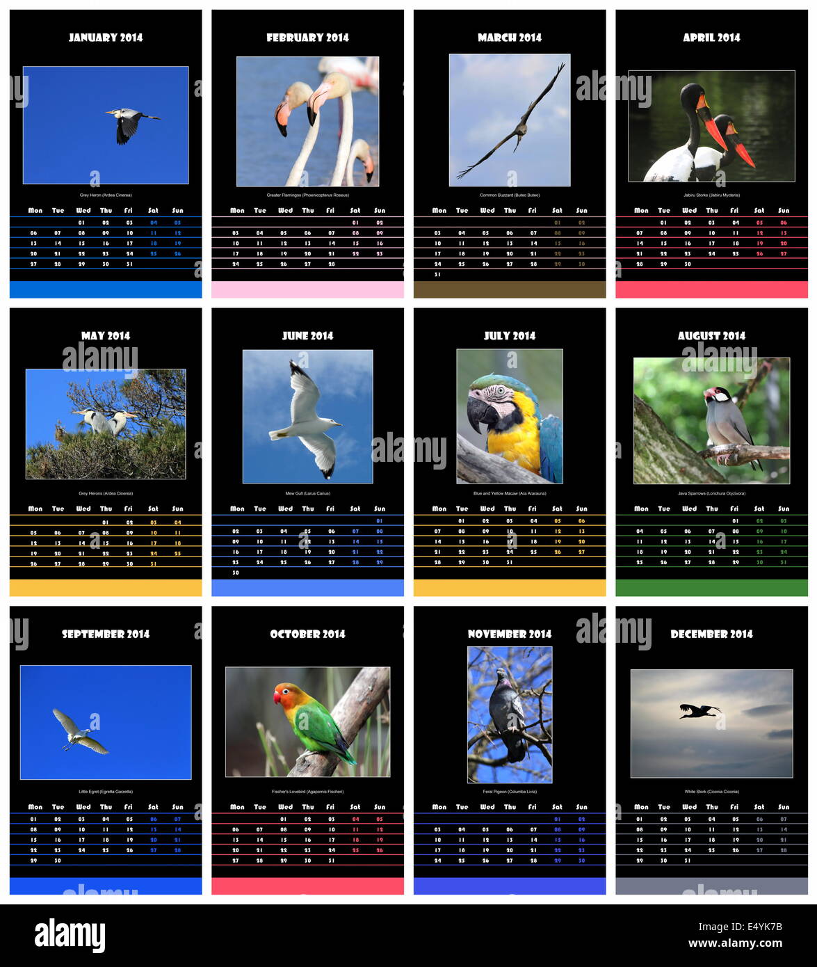 Birds calendar for 2014 Stock Photo - Alamy