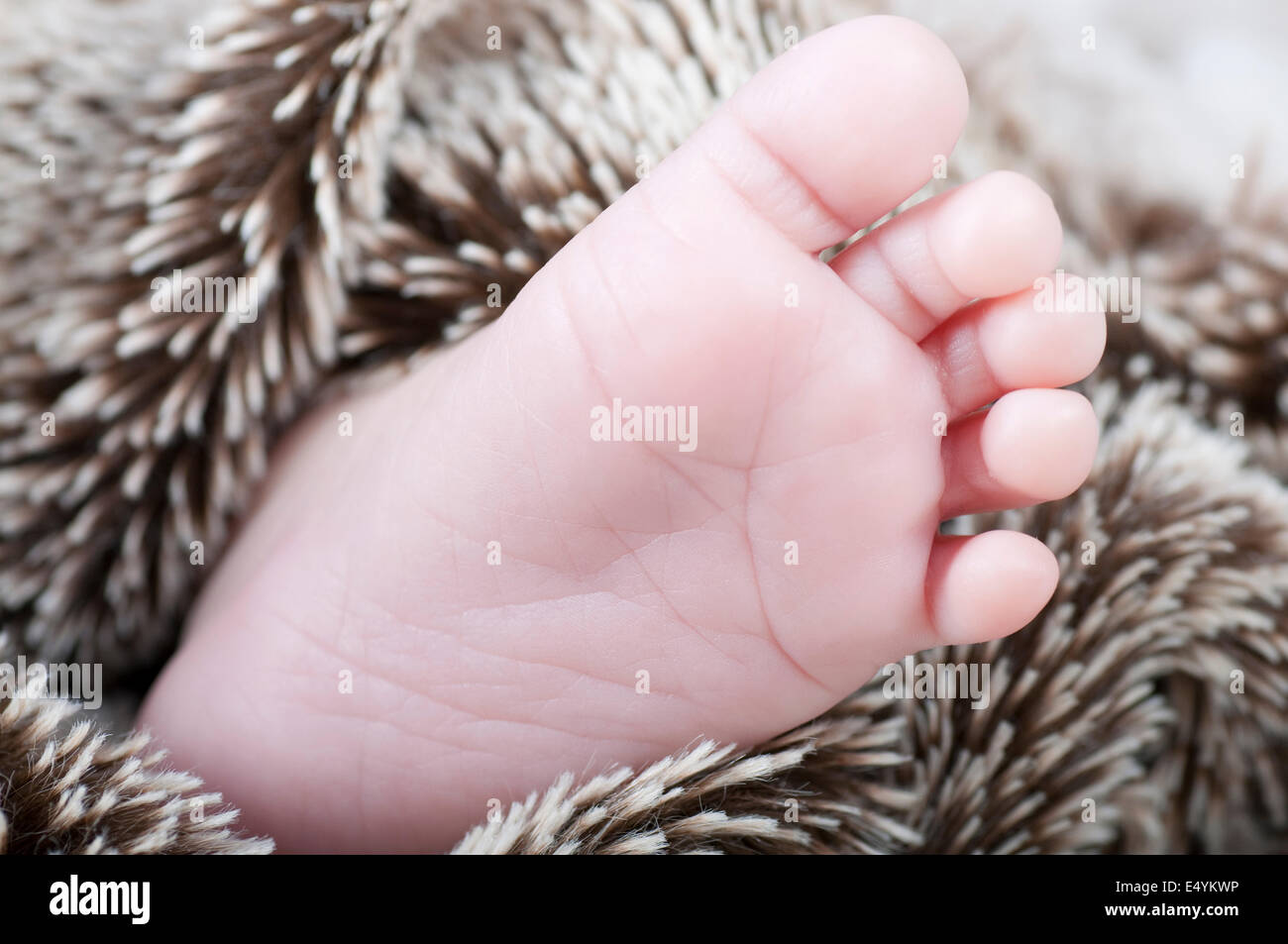 Picture of a new born foot. Baby picture Stock Photo - Alamy