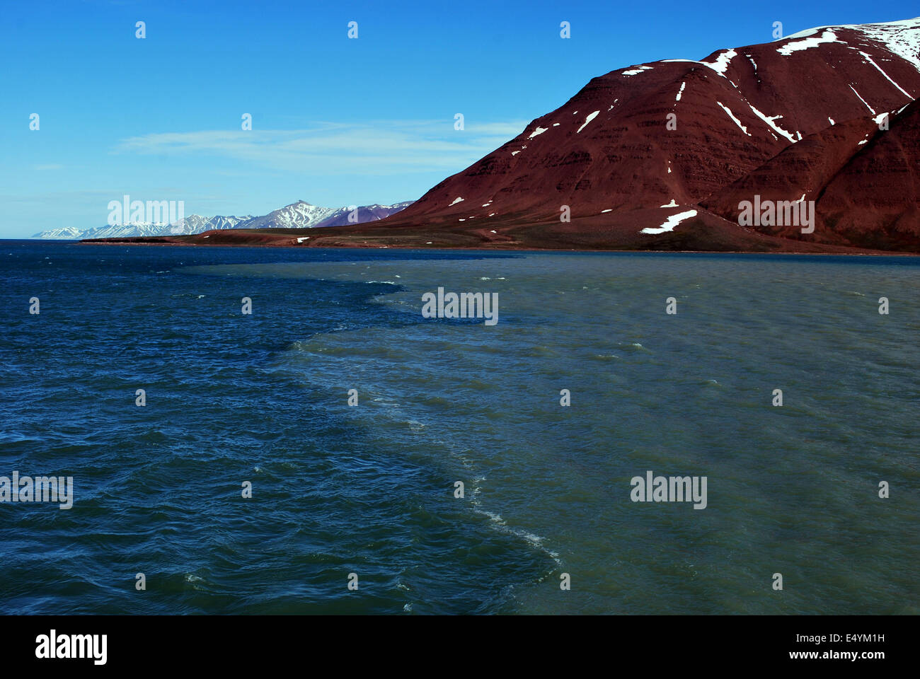Roter devon hi-res stock photography and images - Alamy