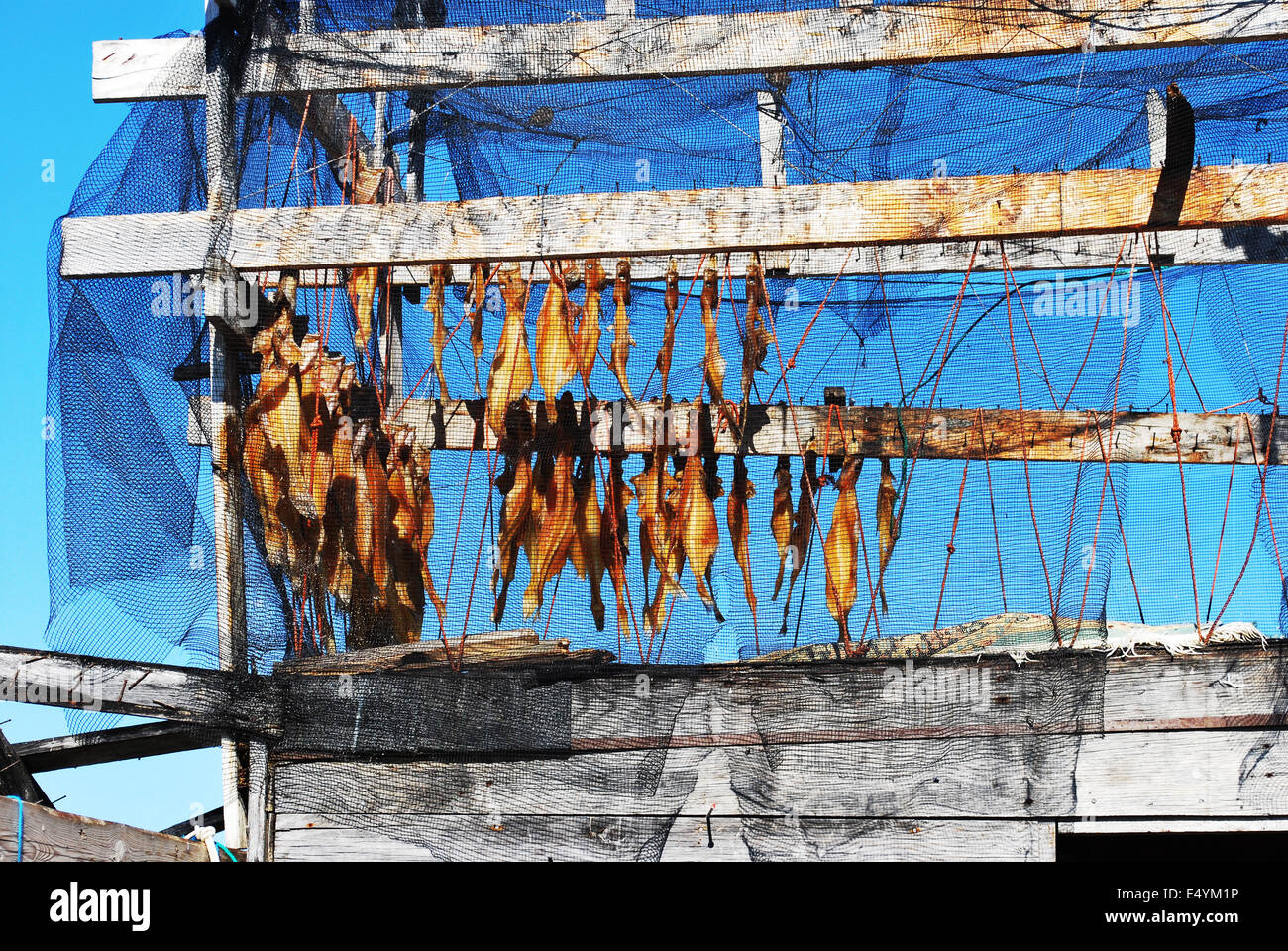 Dried fish rack hi-res stock photography and images - Alamy