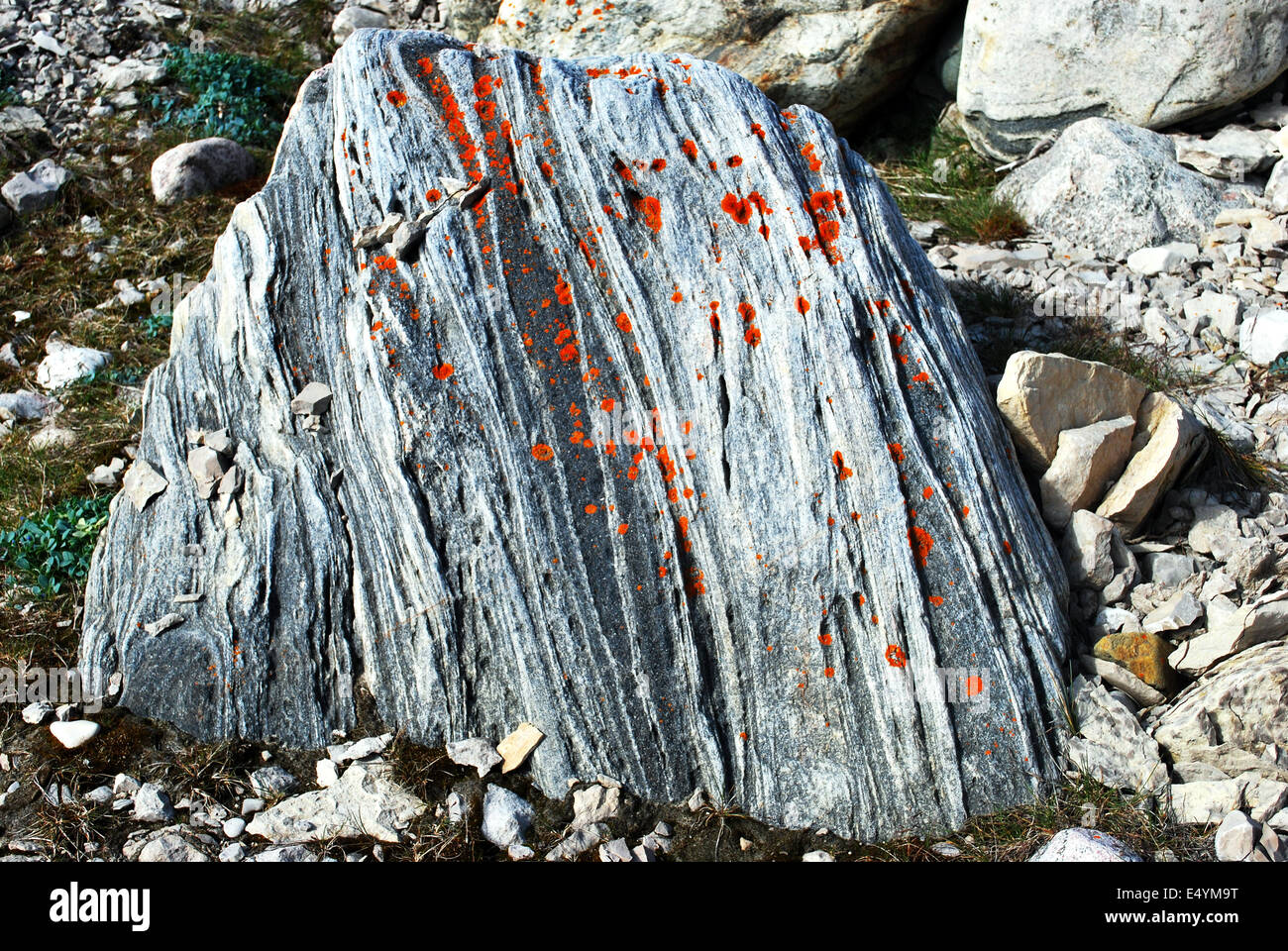 Lichen rock red hi-res stock photography and images - Alamy