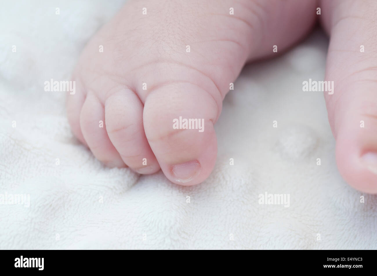 Picture of a new born foot Stock Photo - Alamy