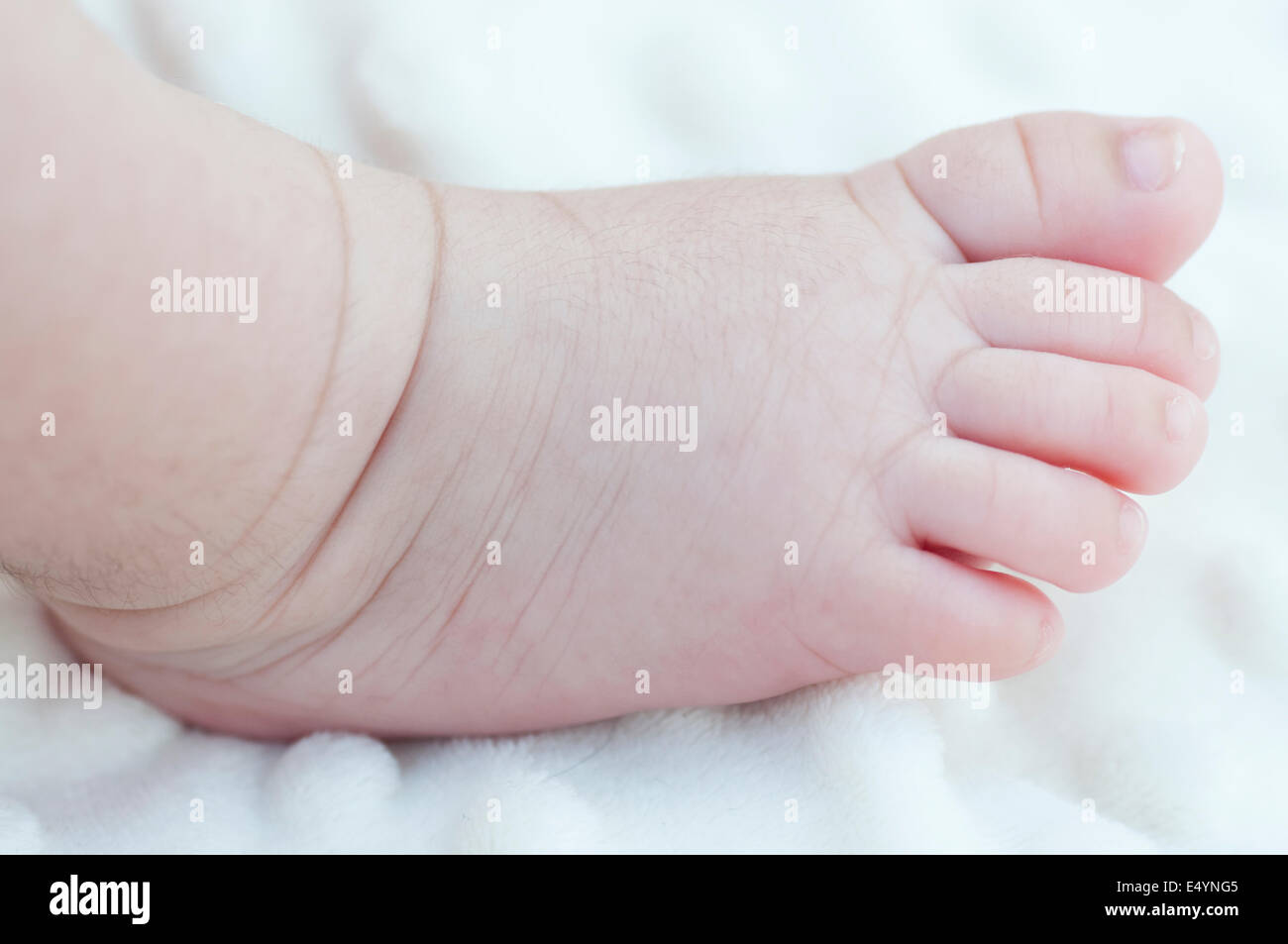 Picture of a new born foot Stock Photo - Alamy