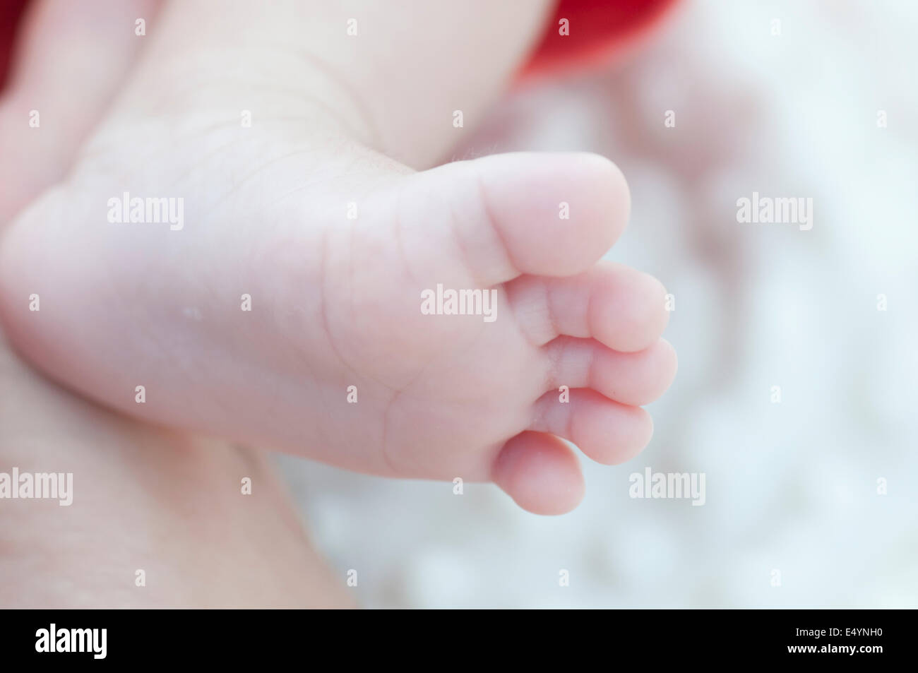 Picture of a new born foot Stock Photo - Alamy