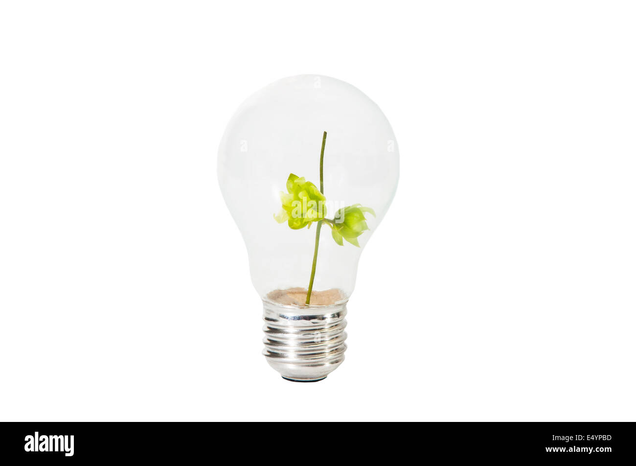 Environmental branch Cut Out Stock Images & Pictures - Alamy